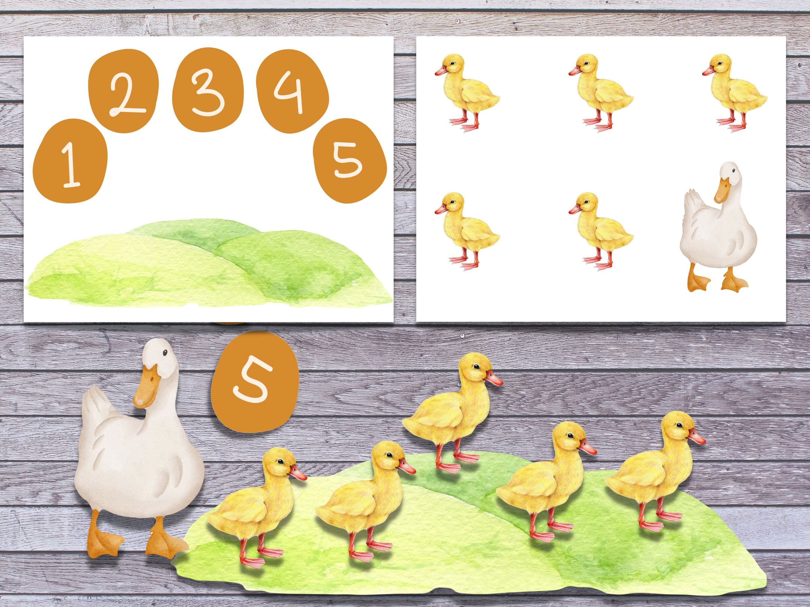 Duck Themed Preschool Learning Bundle, Printable Activity, Preschool ...