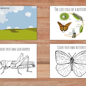 Insect Learning Bundle, Prek/kindergarten Bug Worksheets, Printable ...