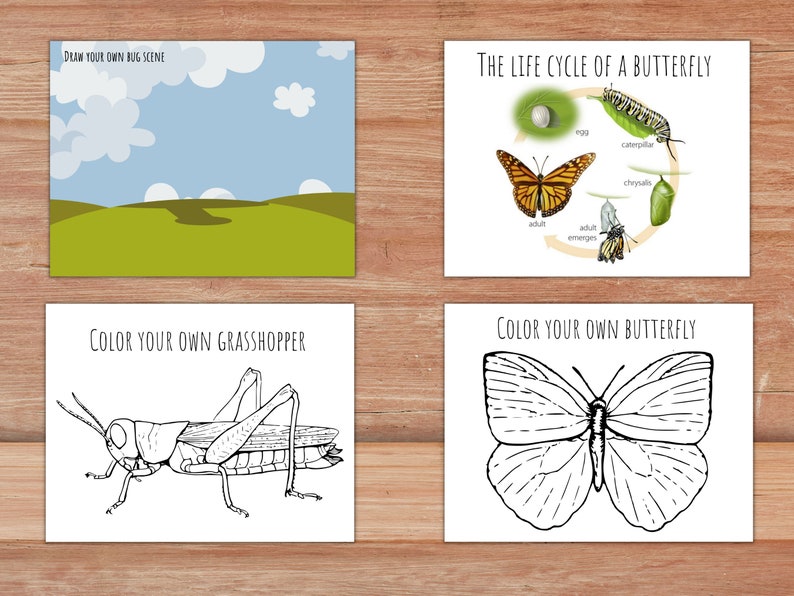 Insect Learning Bundle, Prek/kindergarten Bug Worksheets, Printable ...