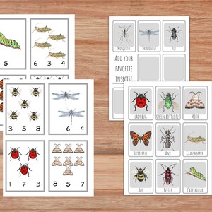 Insect Learning Bundle, Prek/kindergarten Bug Worksheets, Printable ...
