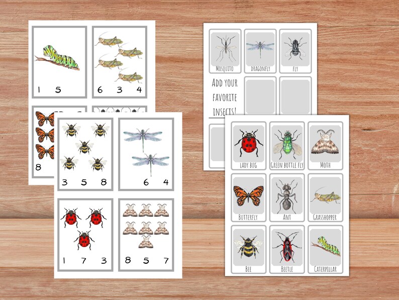 Insect Learning Bundle, Prek/kindergarten Bug Worksheets, Printable ...
