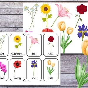 Flower Shop Dramatic Play, Pretend Play, Classroom Dramatic Play, Home ...