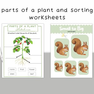 Nature Themed Preschool/ Kindergarten Learning Bundle, Nature Printable ...