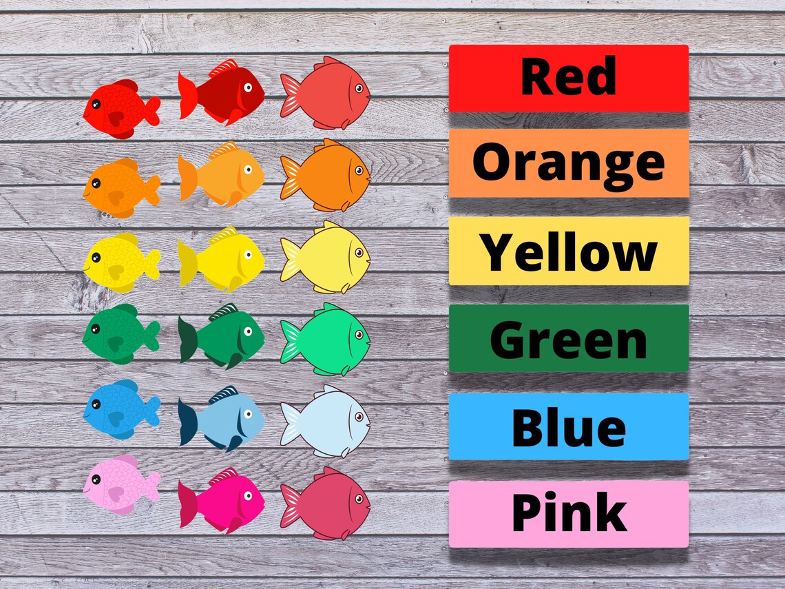 Color Matching Color Activity Learning Colors Toddler - Etsy