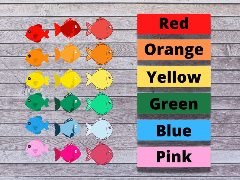Color Matching Color Activity Learning Colors Toddler - Etsy
