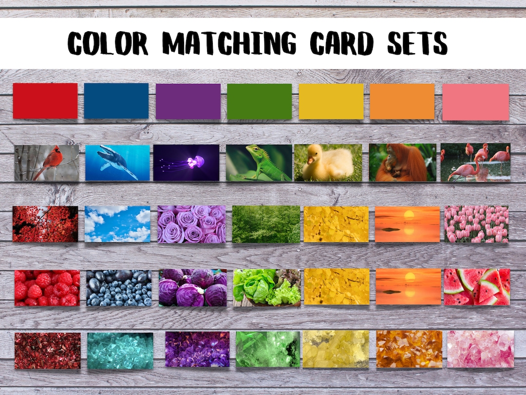 Toddler Color Matching Cards, Prek and Kinder Printable, Homeschool ...