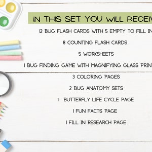 Insect Learning Bundle, Prek/kindergarten Bug Worksheets, Printable ...