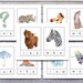 A to Z Beginning Sounds Clip Cards, Preschool Printable, Kindergarten ...