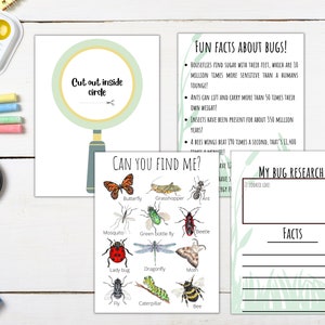 Insect Learning Bundle, Prek/kindergarten Bug Worksheets, Printable ...