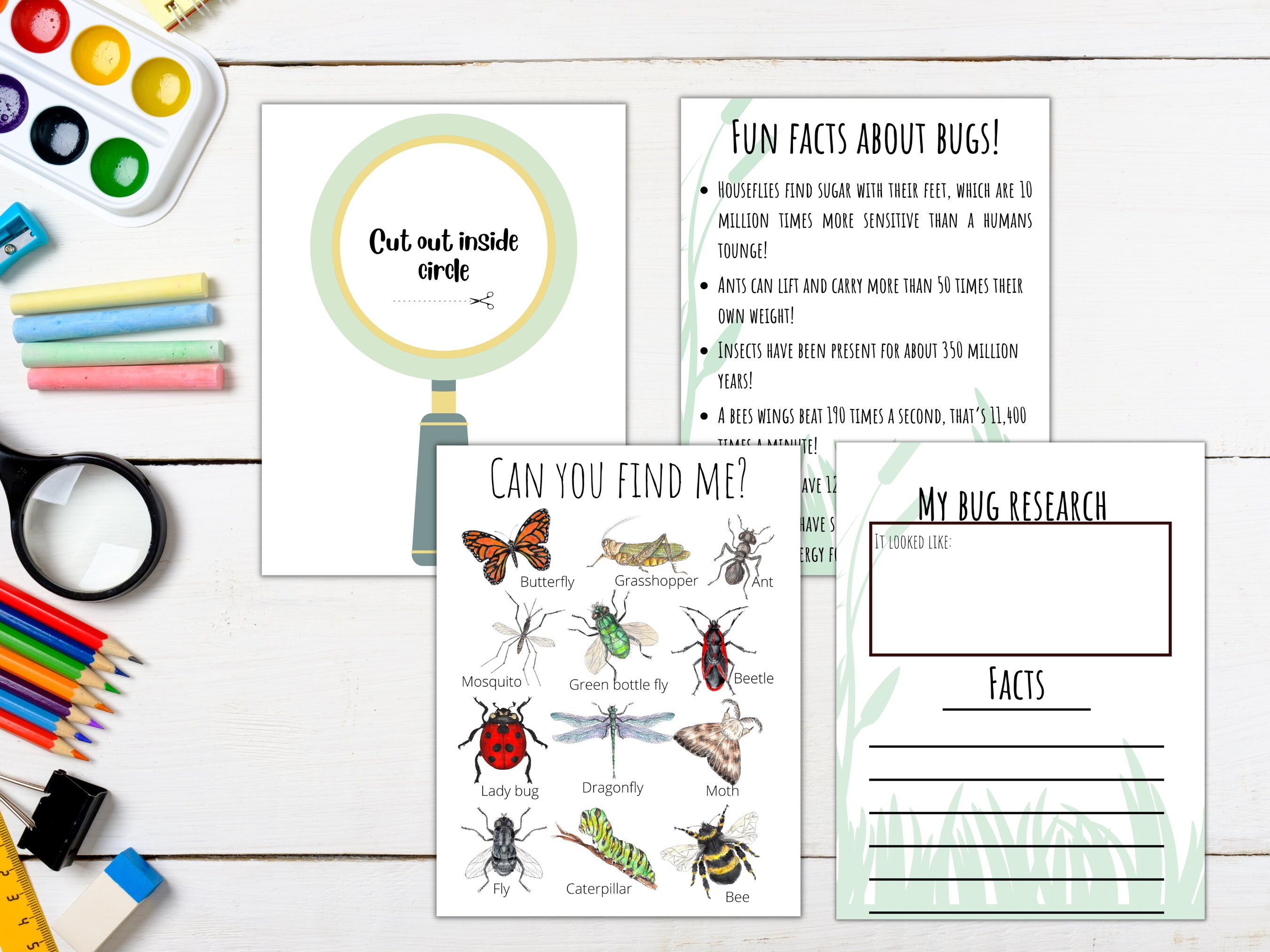 Insect Learning Bundle, Prek/kindergarten Bug Worksheets, Printable ...