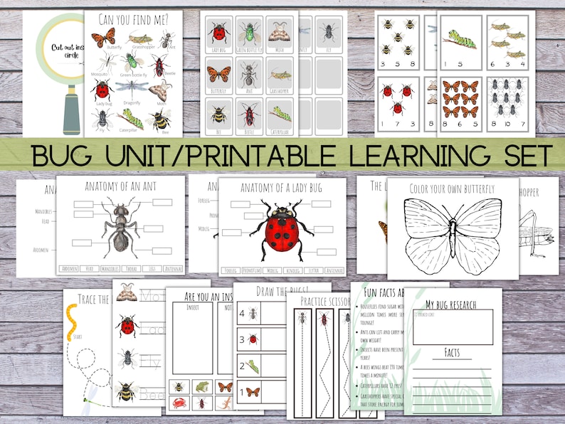 Insect Learning Bundle, Prek/kindergarten Bug Worksheets, Printable ...