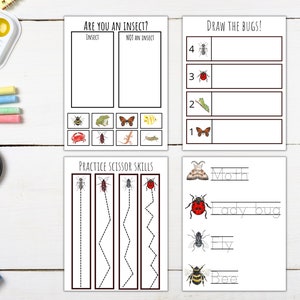 Insect Learning Bundle, Prek/kindergarten Bug Worksheets, Printable ...