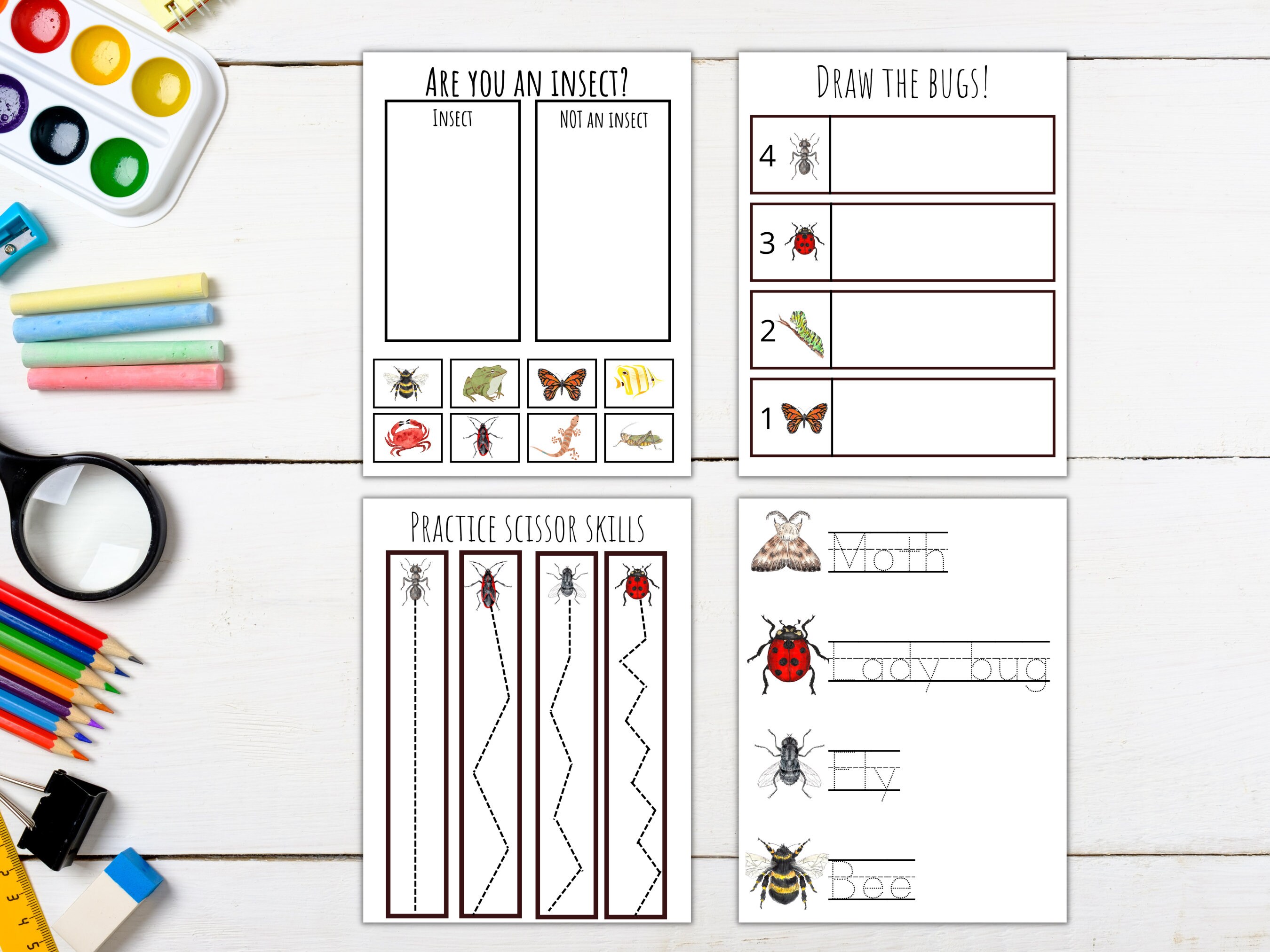 Insect Learning Bundle, Prek/kindergarten Bug Worksheets, Printable ...