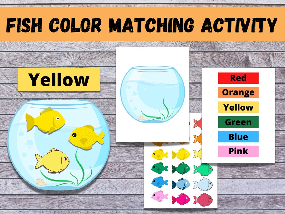 Color Matching, Color Activity, Learning Colors, Toddler Activity ...