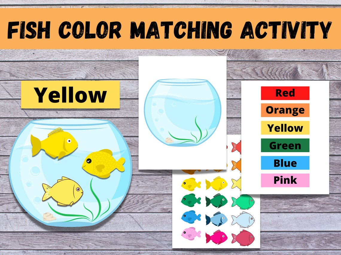 Color Matching Color Activity Learning Colors Toddler - Etsy