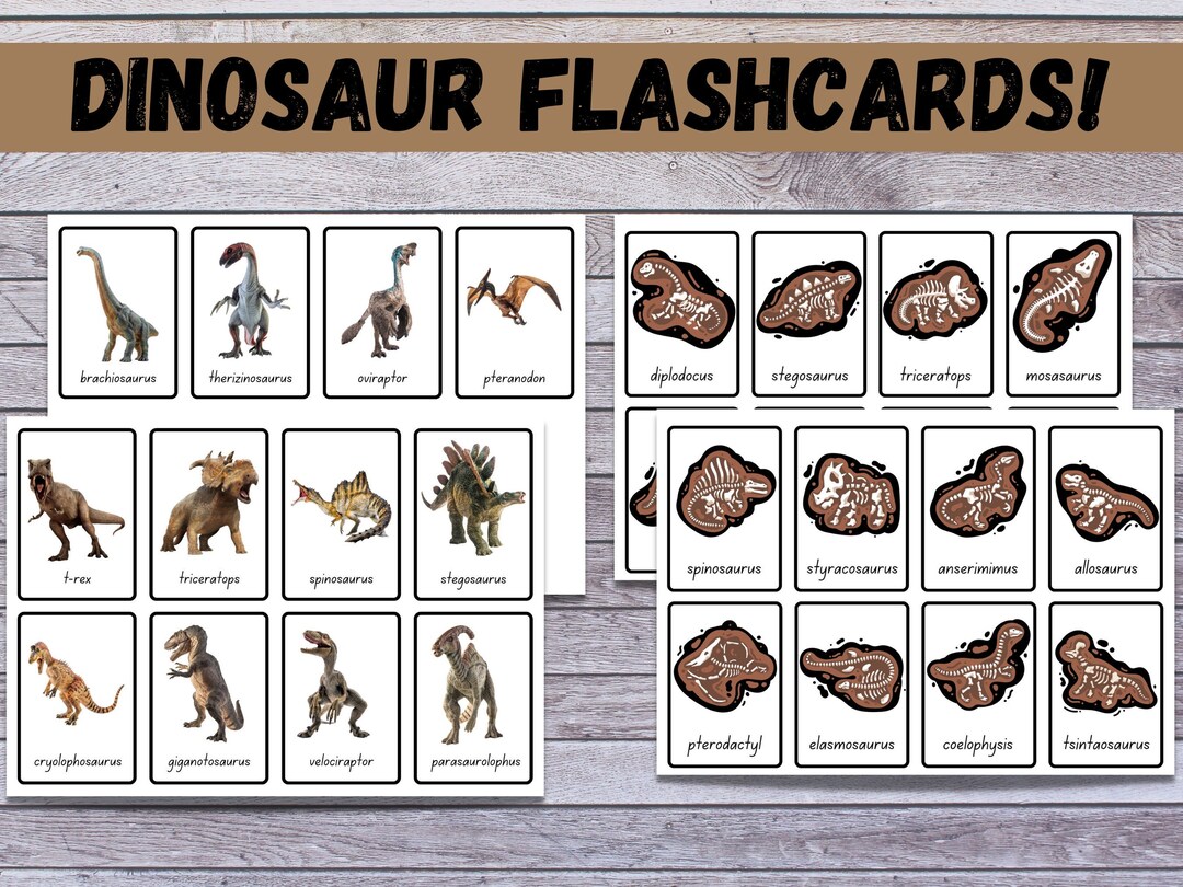 Dinosaurs Flashcards, Printable Montessori Materials, Homeschool ...