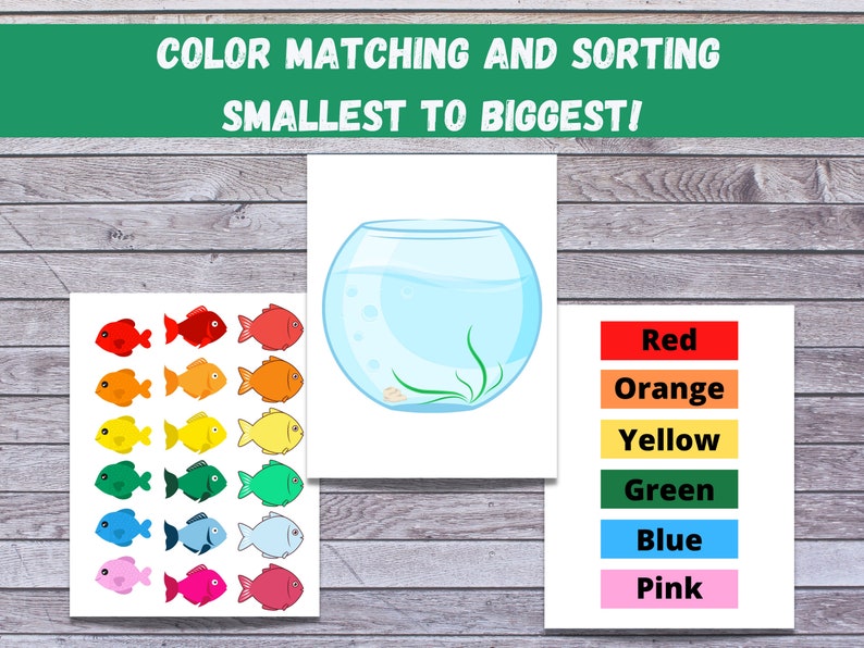 Color Matching Color Activity Learning Colors Toddler - Etsy