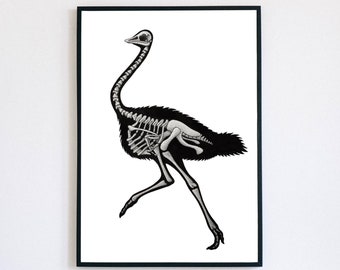 Capybara Skeleton Stippling Art Print - Etsy