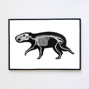 Capybara Skeleton Stippling Art Print - Etsy