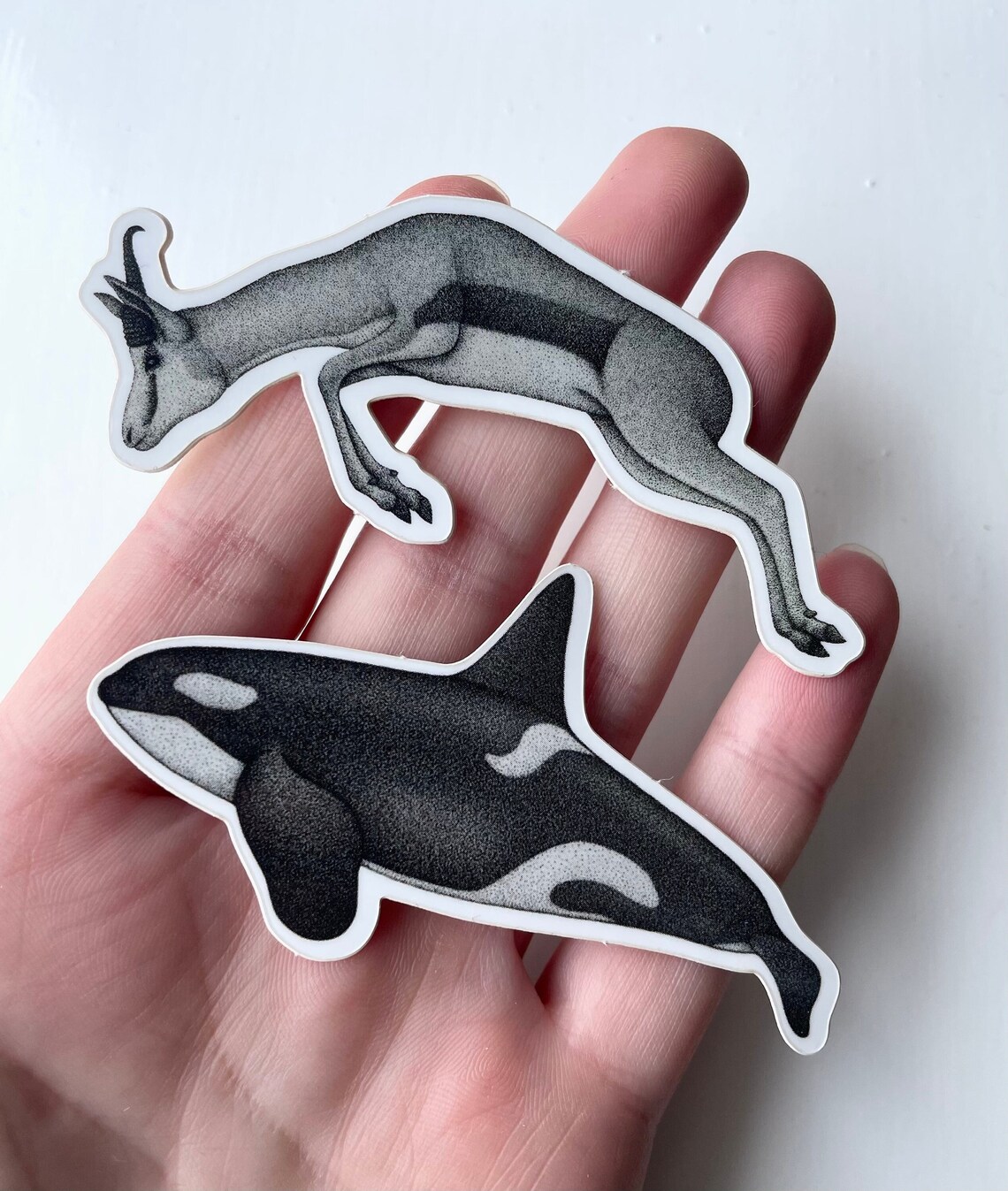 Stippling Art Stickers- Killer Whale and Springbok - Etsy UK