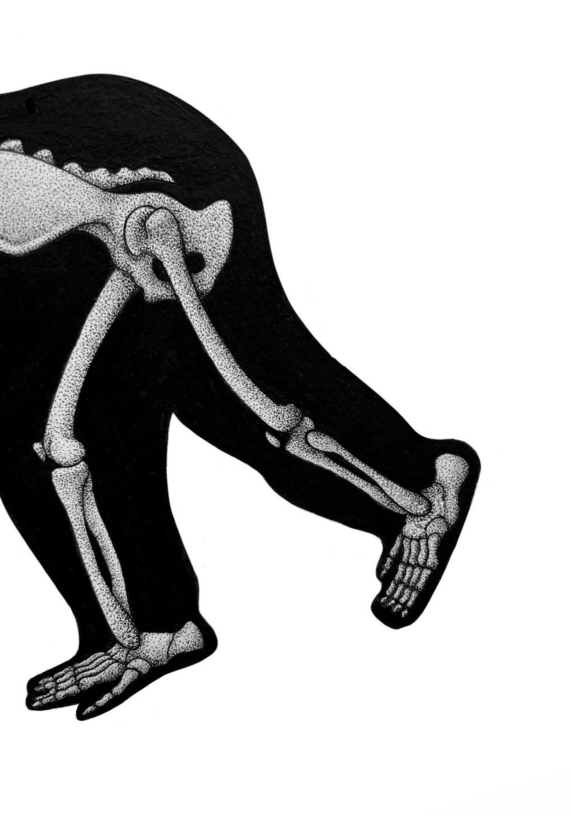 Western Lowland Gorilla Skeleton Stippling Art Print - Etsy