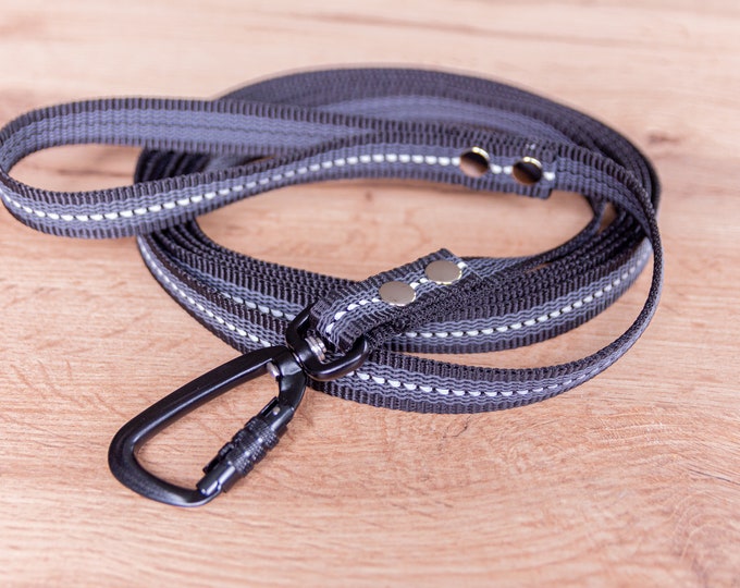 1" Wide Biothane Adjustable Buckle Dog Collar Plastic Buckle Stainless ...