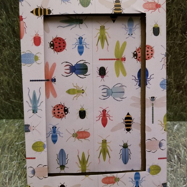 Insect Picture Frames - Etsy