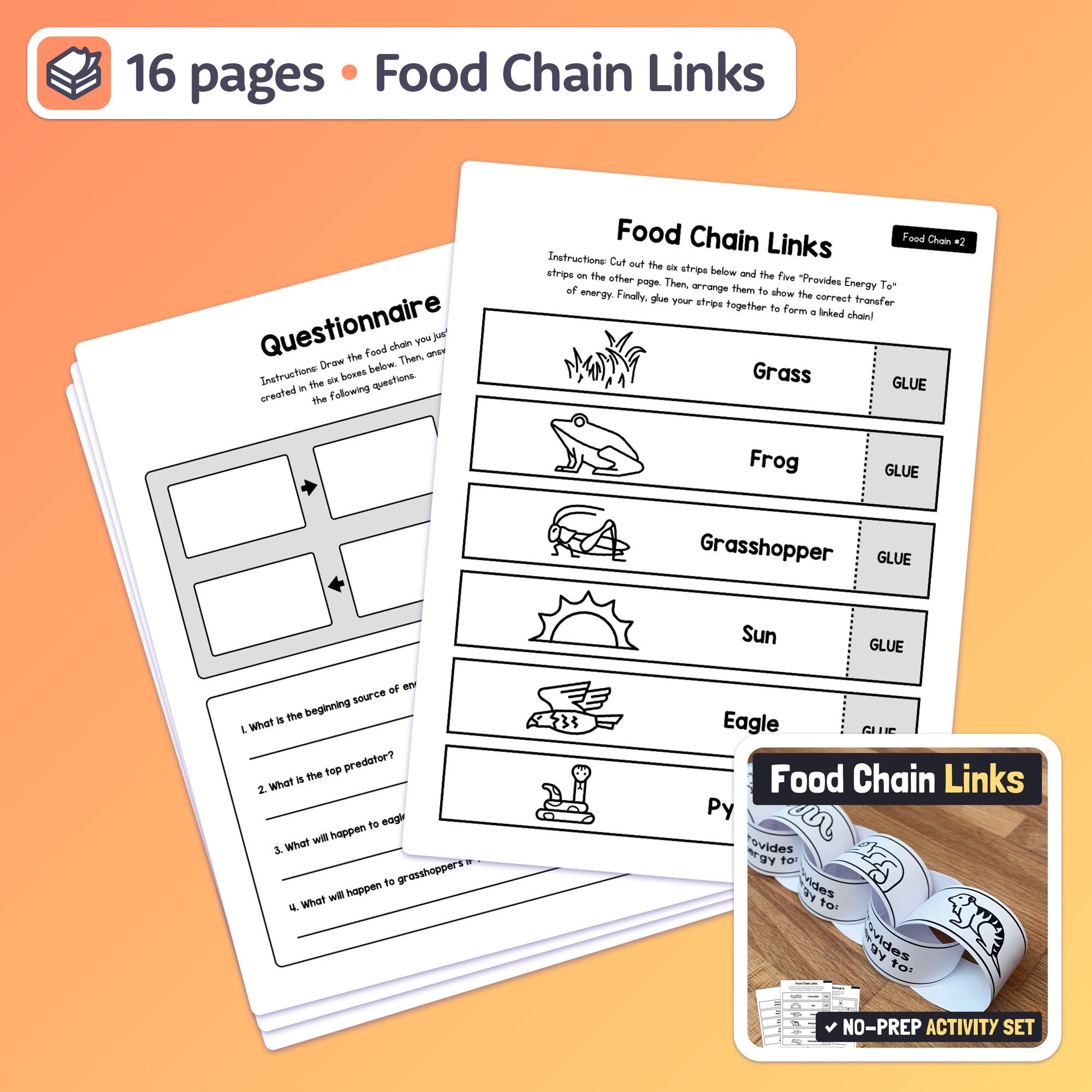 Low Prep Science Crafts Bundle 1st Grade Science, 2nd Grade Science ...