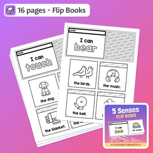 5 Senses Bundle | Kindergarten, 1st Grade, 2nd Grade Science, 5 Senses ...