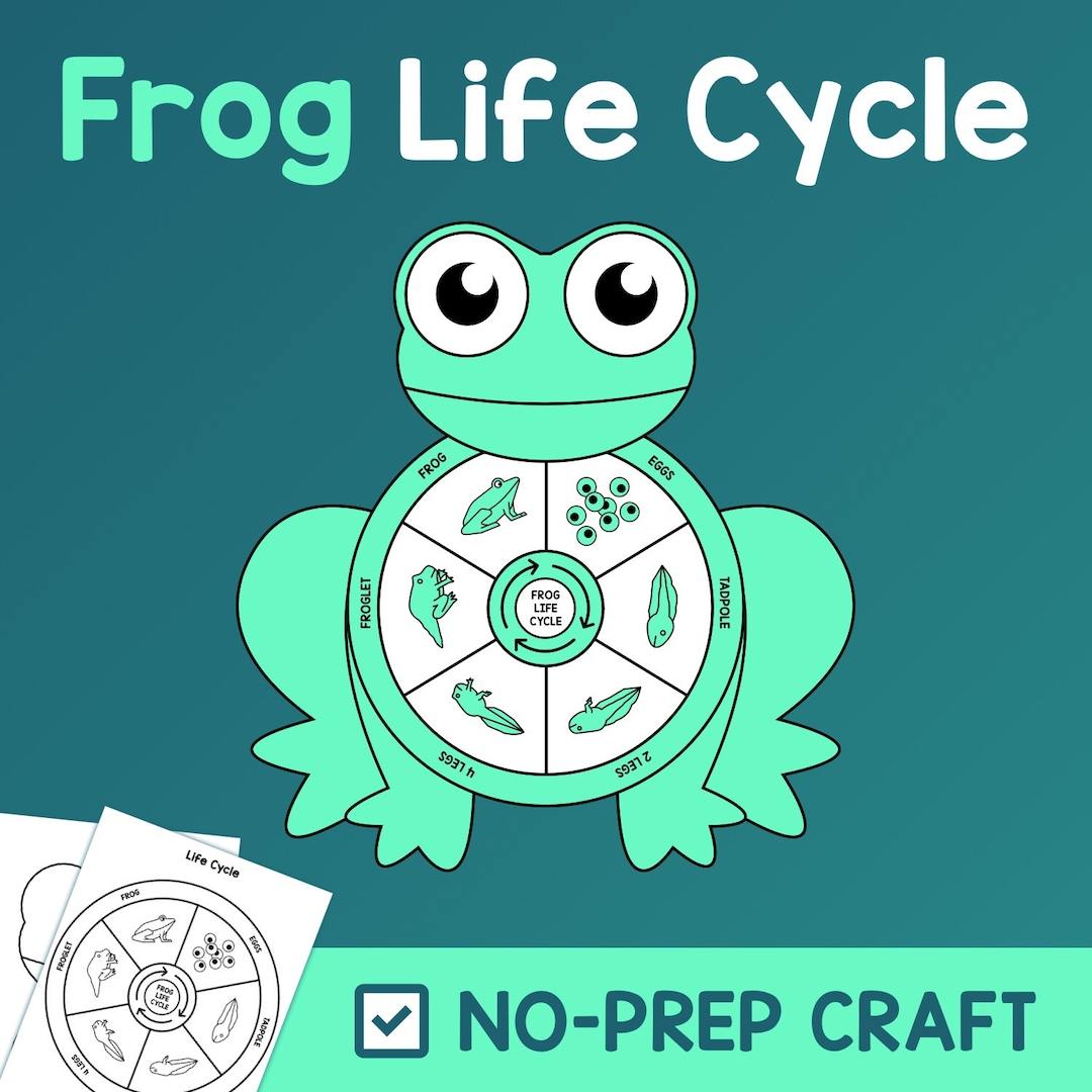 Life Cycle of a Frog Craft | Kindergarten, 1st, 2nd Grade Frog Life ...