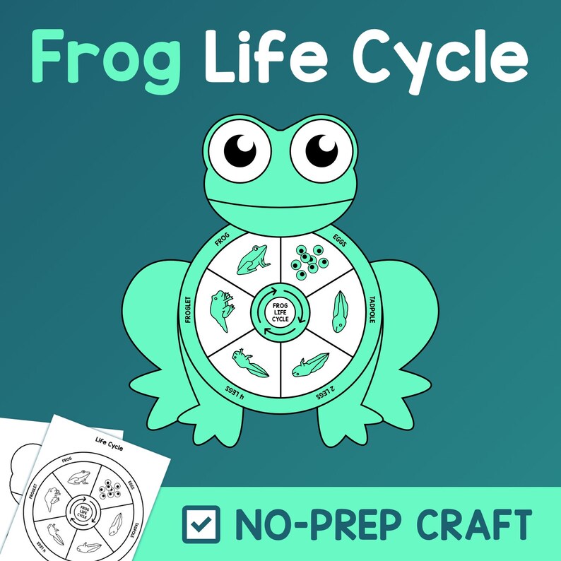 Life Cycle of a Frog Craft | Kindergarten, 1st, 2nd Grade Frog Life ...