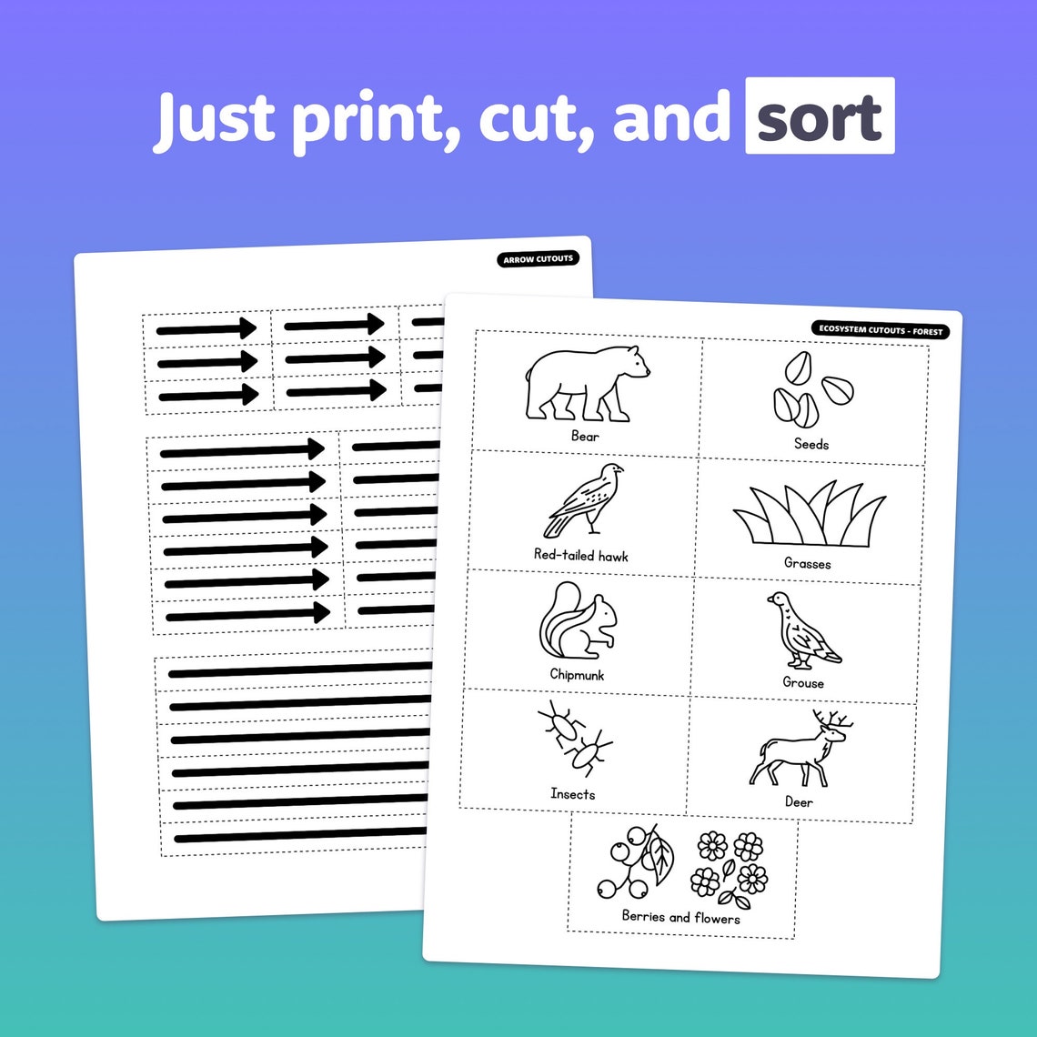 Food Webs Activity | 3rd, 4th, 5th Grade Ecosystems | Food Chains ...