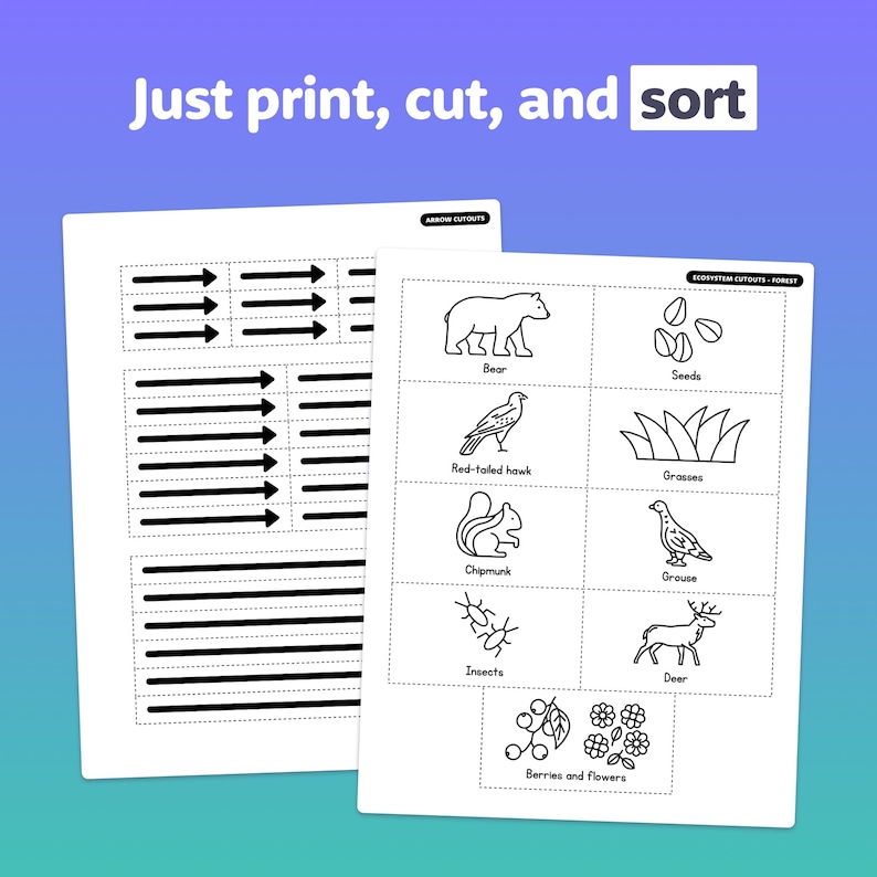Food Webs Activity | 3rd, 4th, 5th Grade Ecosystems | Food Chains ...
