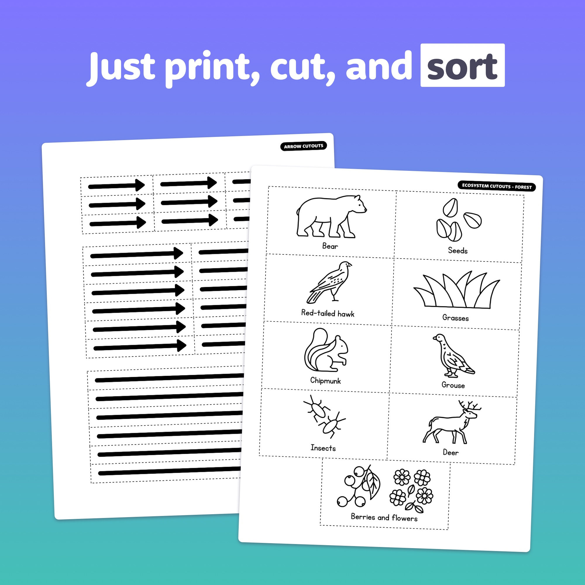 Food Webs Activity | 3rd, 4th, 5th Grade Ecosystems | Food Chains ...