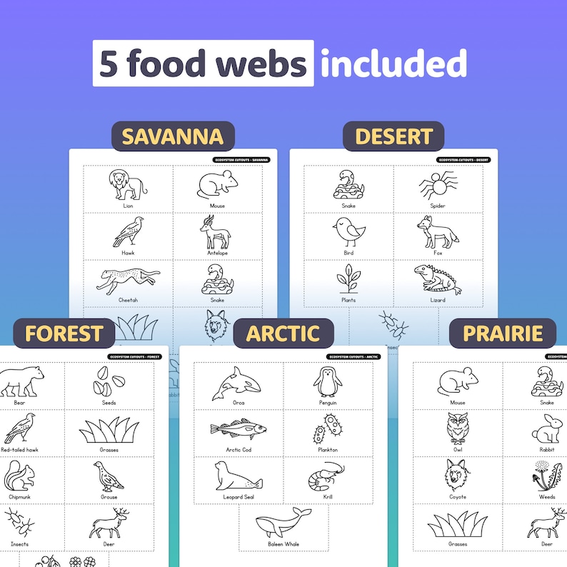 Food Webs Activity | 3rd, 4th, 5th Grade Ecosystems | Food Chains ...