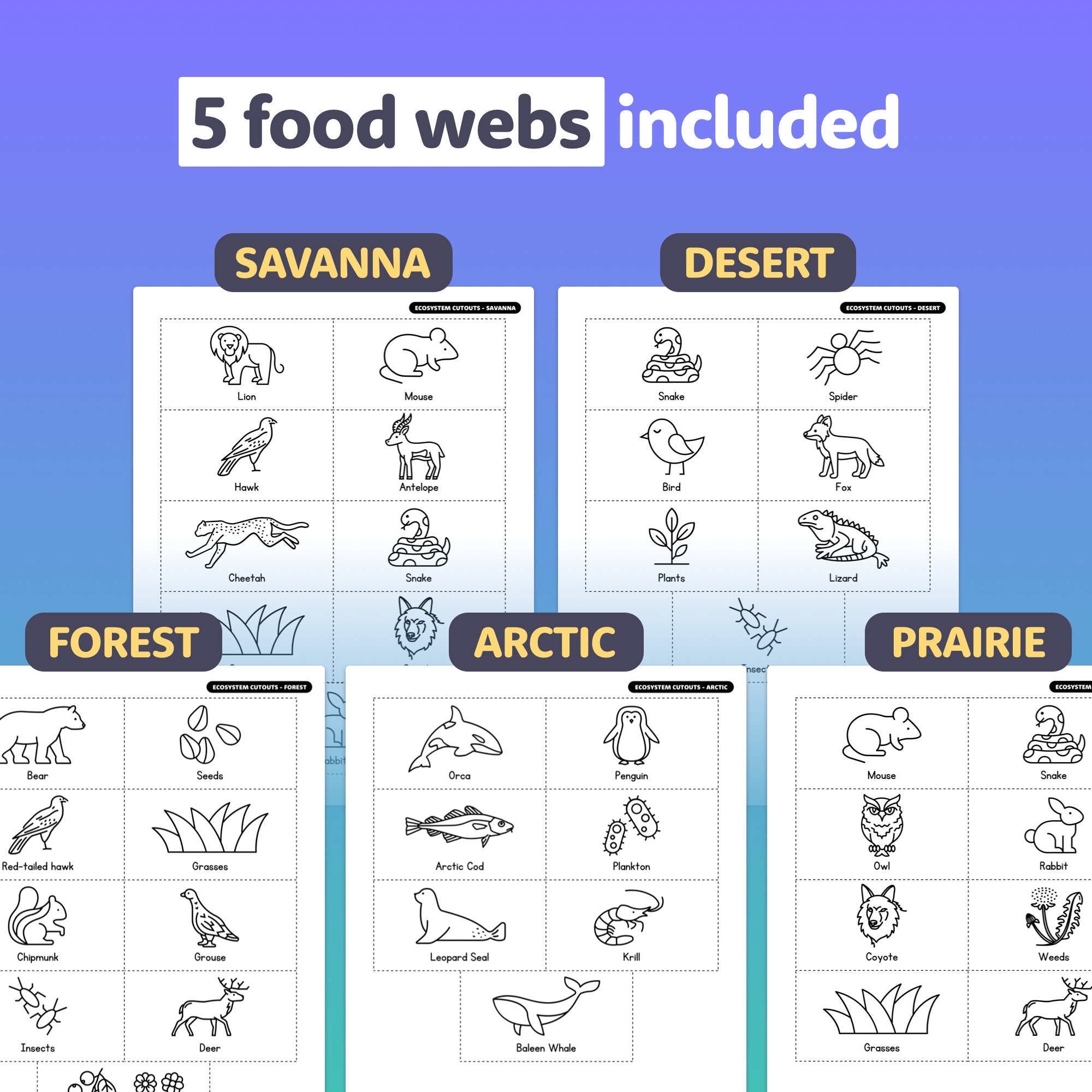 Food Webs Activity | 3rd, 4th, 5th Grade Ecosystems | Food Chains ...