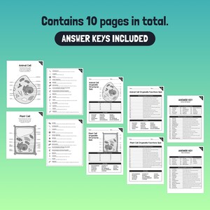 Plant & Animal Cell Organelle Structures and Functions | Cells Unit ...