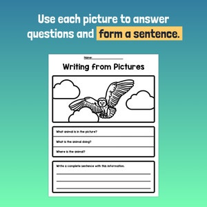 Sentence Writing Worksheets | K-3rd Grade Sentence Structure Activities ...