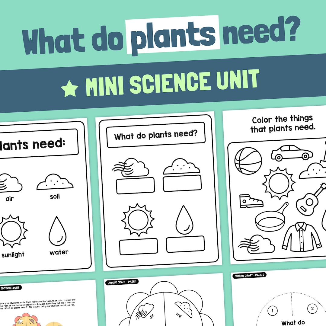 Mini Plant Unit | What Do Plants Need? – Flower Craft and Plant ...