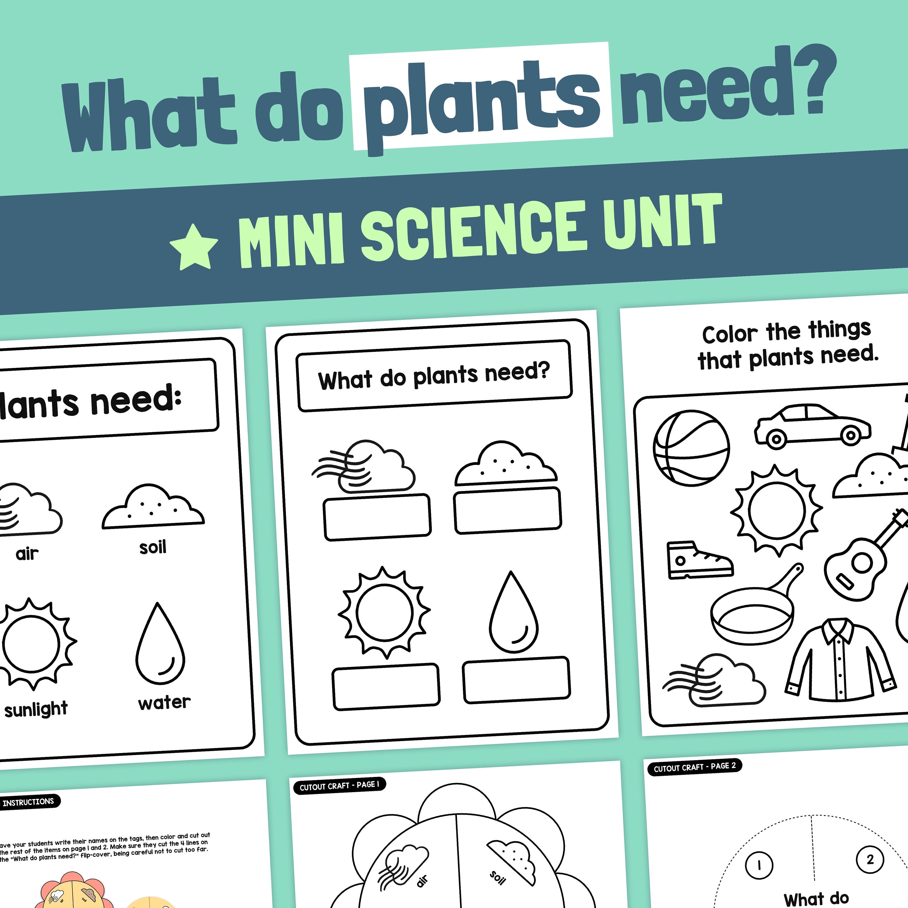 Mini Plant Unit | What Do Plants Need? – Flower Craft and Plant ...