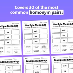Multiple Meaning Words Worksheets | 1st, 2nd & 3rd Grade Homonyms ...