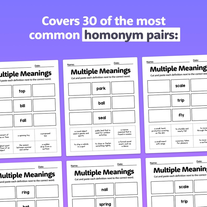 Multiple Meaning Words Worksheets | 1st, 2nd & 3rd Grade Homonyms ...