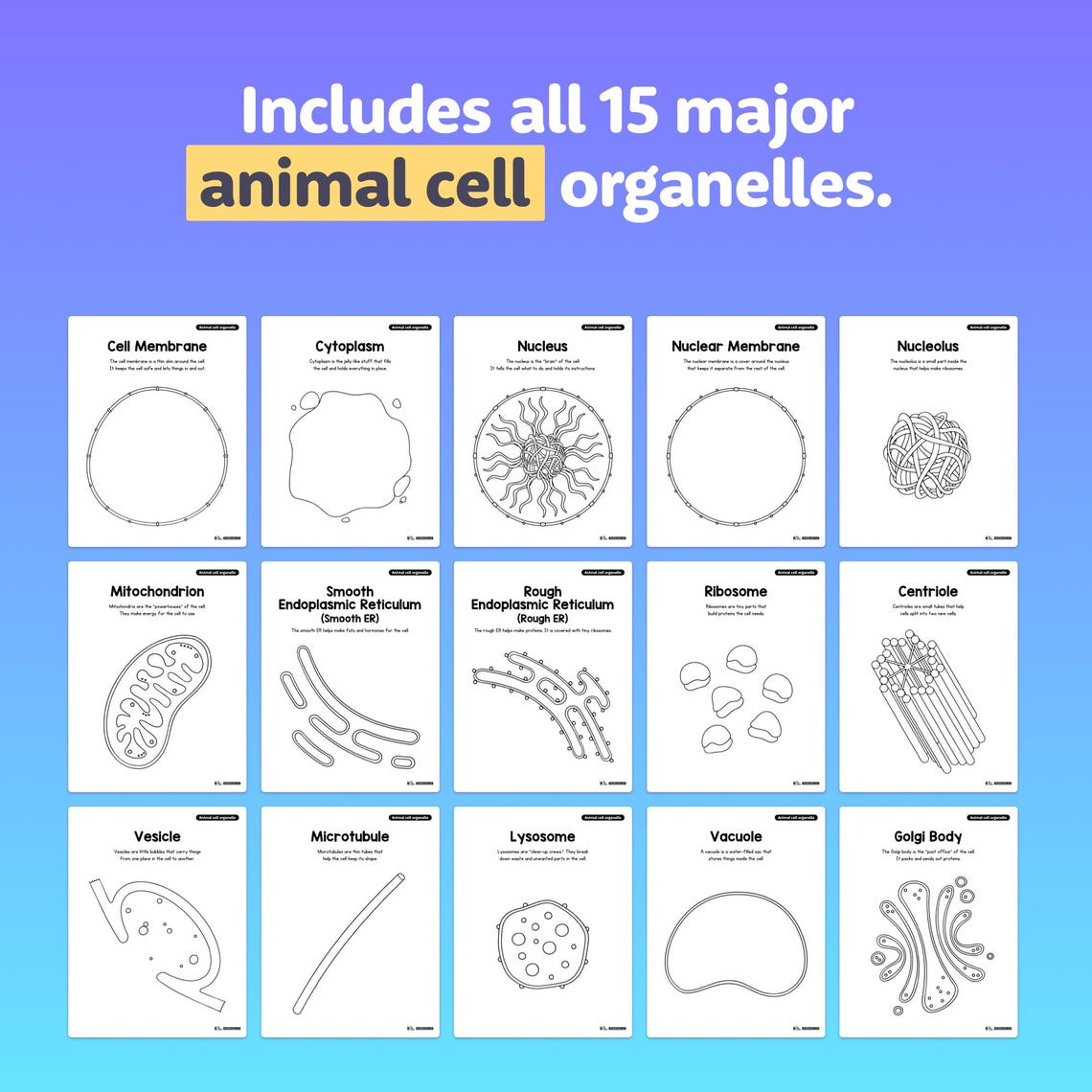 Plant and Animal Cell Organelle Posters, Upper Elementary Biology ...