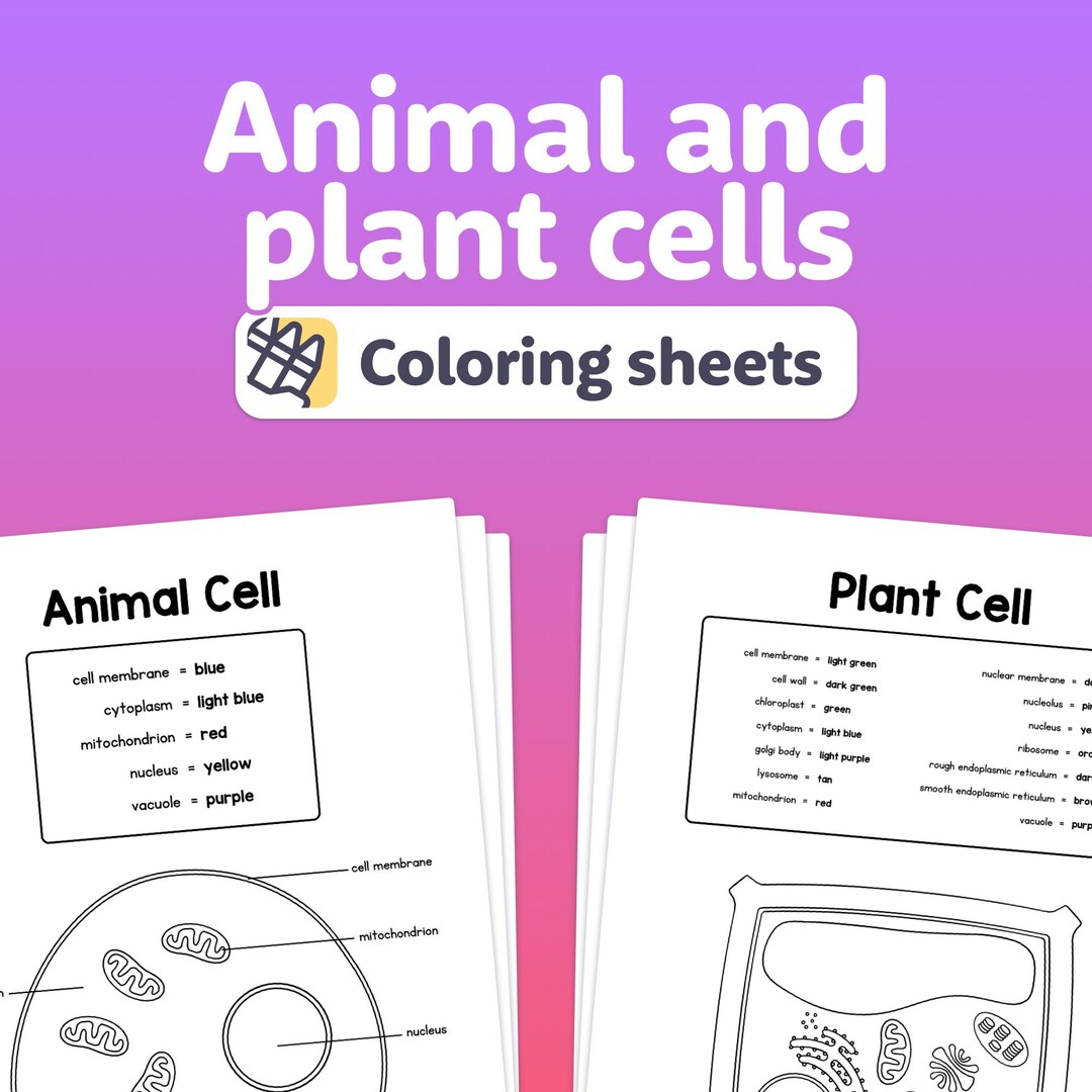 Animal and Plant Cell Coloring Pages, Upper Elementary Biology ...