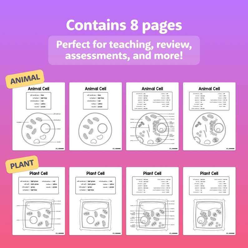 Animal and Plant Cell Coloring Pages, Upper Elementary Biology ...