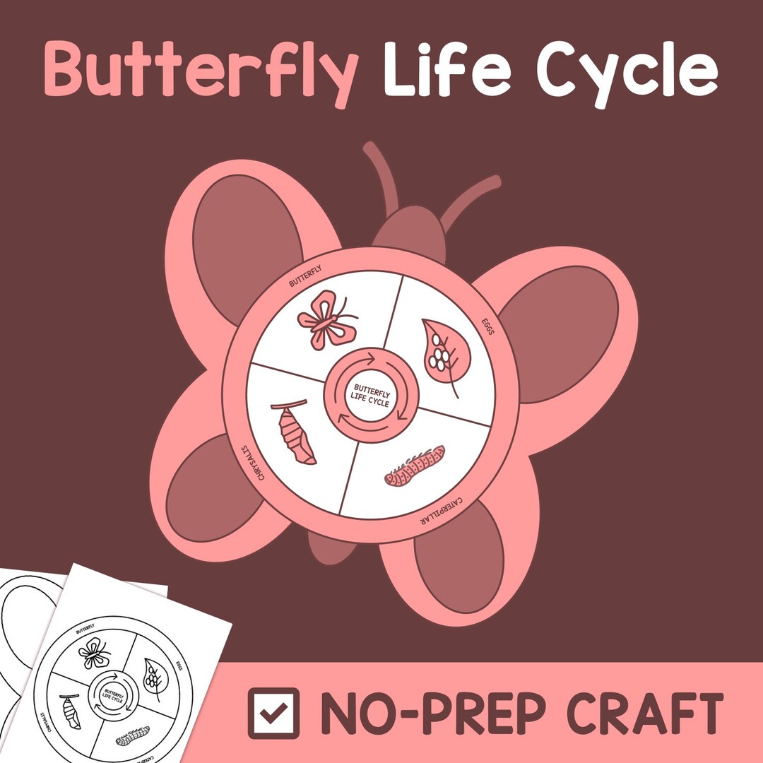 Life Cycle of a Butterfly Craft | Butterfly Life Cycle, Kindergarten ...