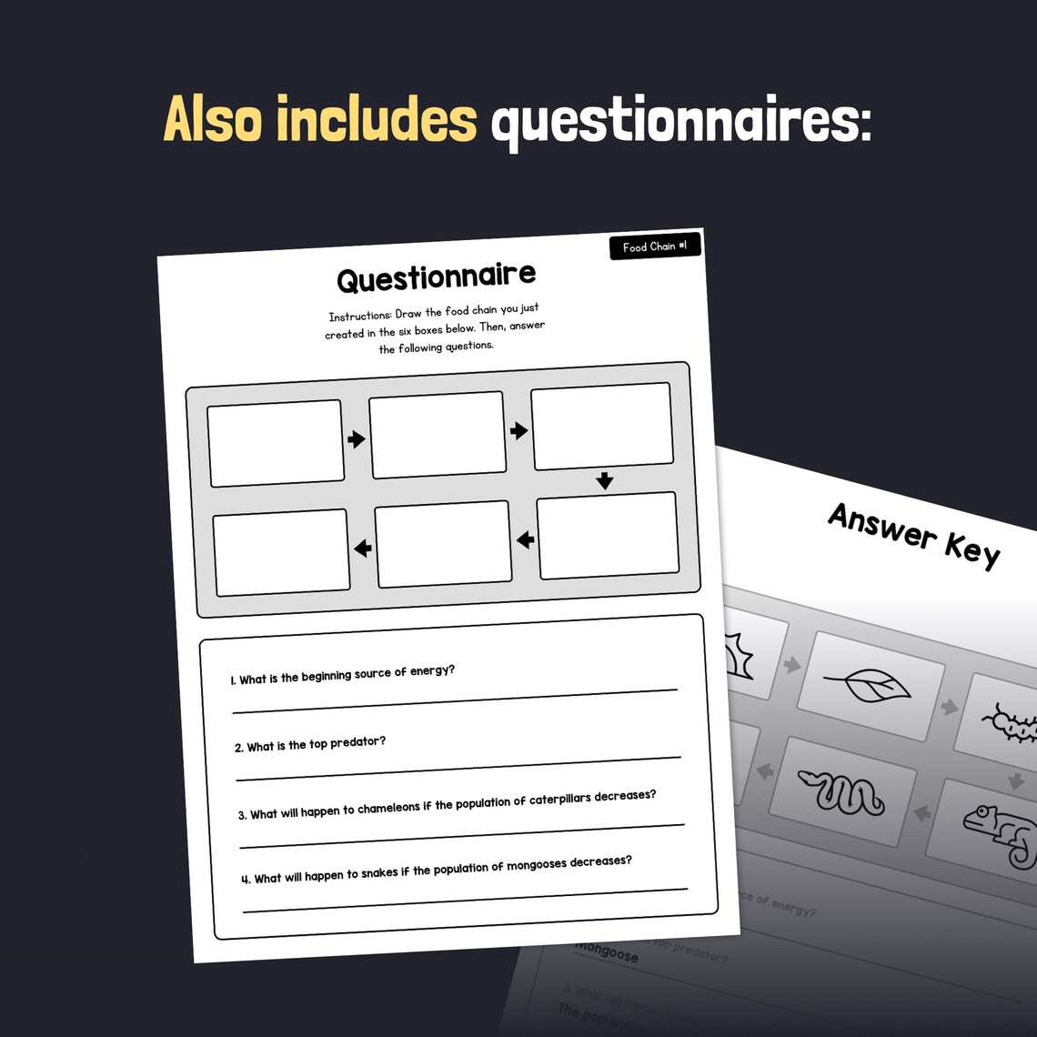 Food Chain Activity | 2nd, 3rd, 4th Grade Animal Ecosystem Food Chain ...