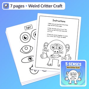 5 Senses Bundle | Kindergarten, 1st Grade, 2nd Grade Science, 5 Senses ...