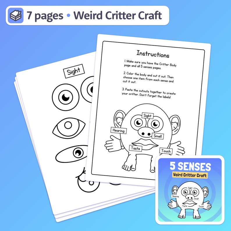 5 Senses Bundle | Kindergarten, 1st Grade, 2nd Grade Science, 5 Senses ...