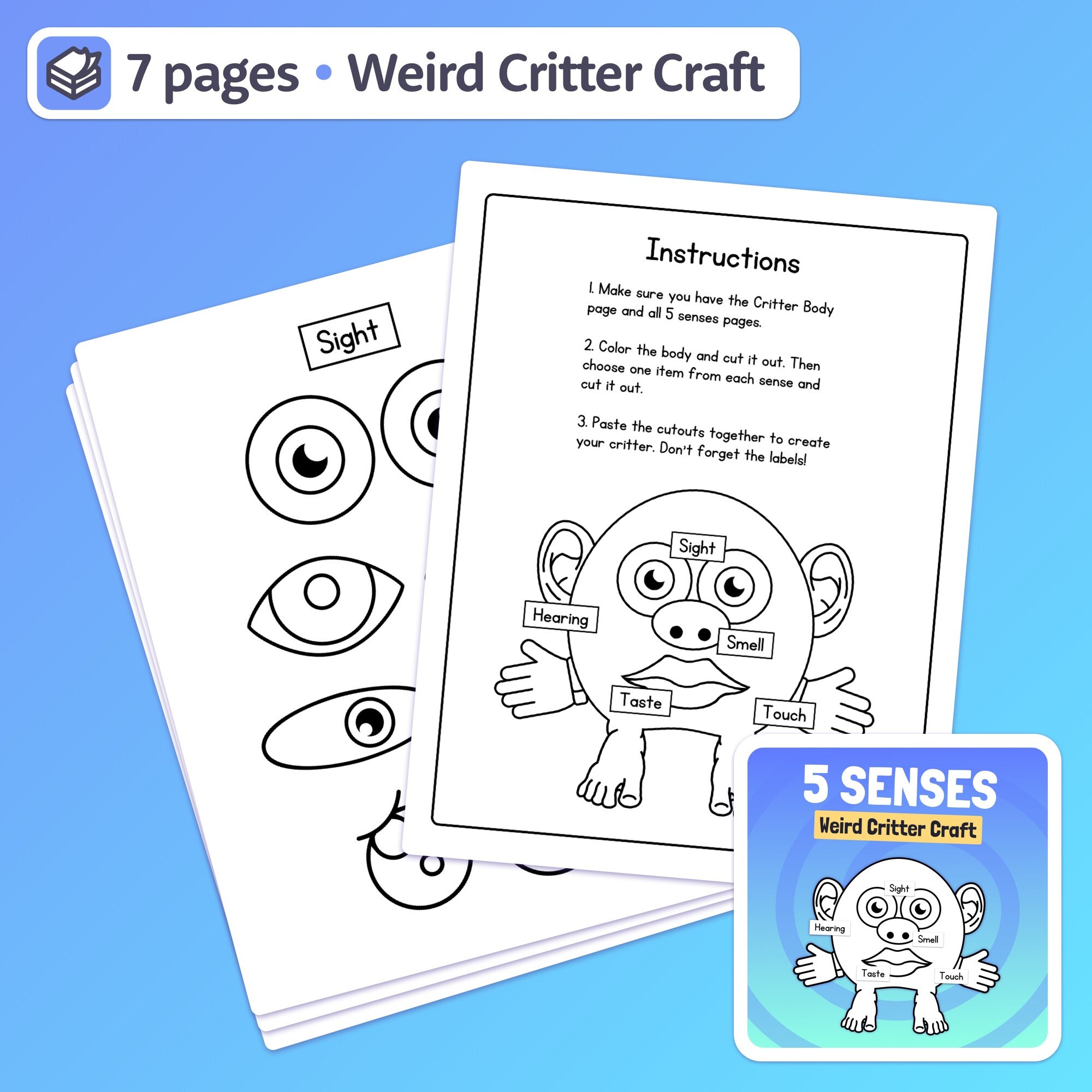 5 Senses Bundle | Kindergarten, 1st Grade, 2nd Grade Science, 5 Senses ...